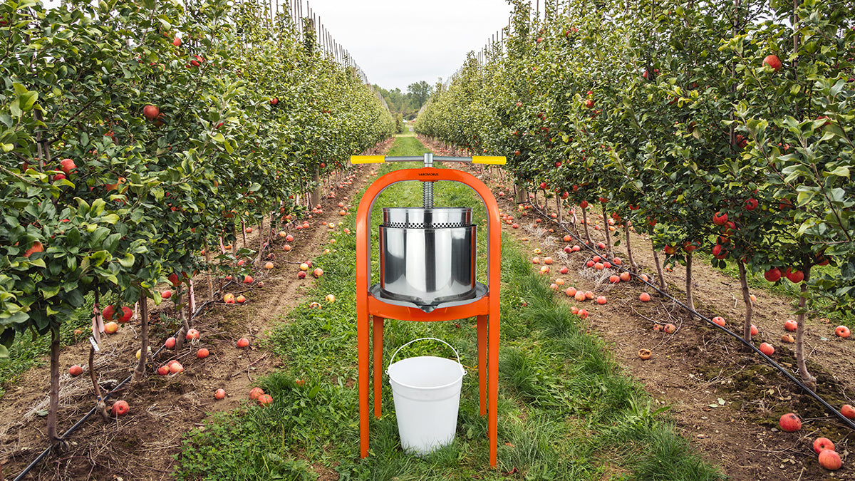 How to Make Homemade Cider: Guide to Using Varomorus Fruit Presses ...